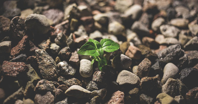 Rock Your Resilience In A World Full Of Naysayers